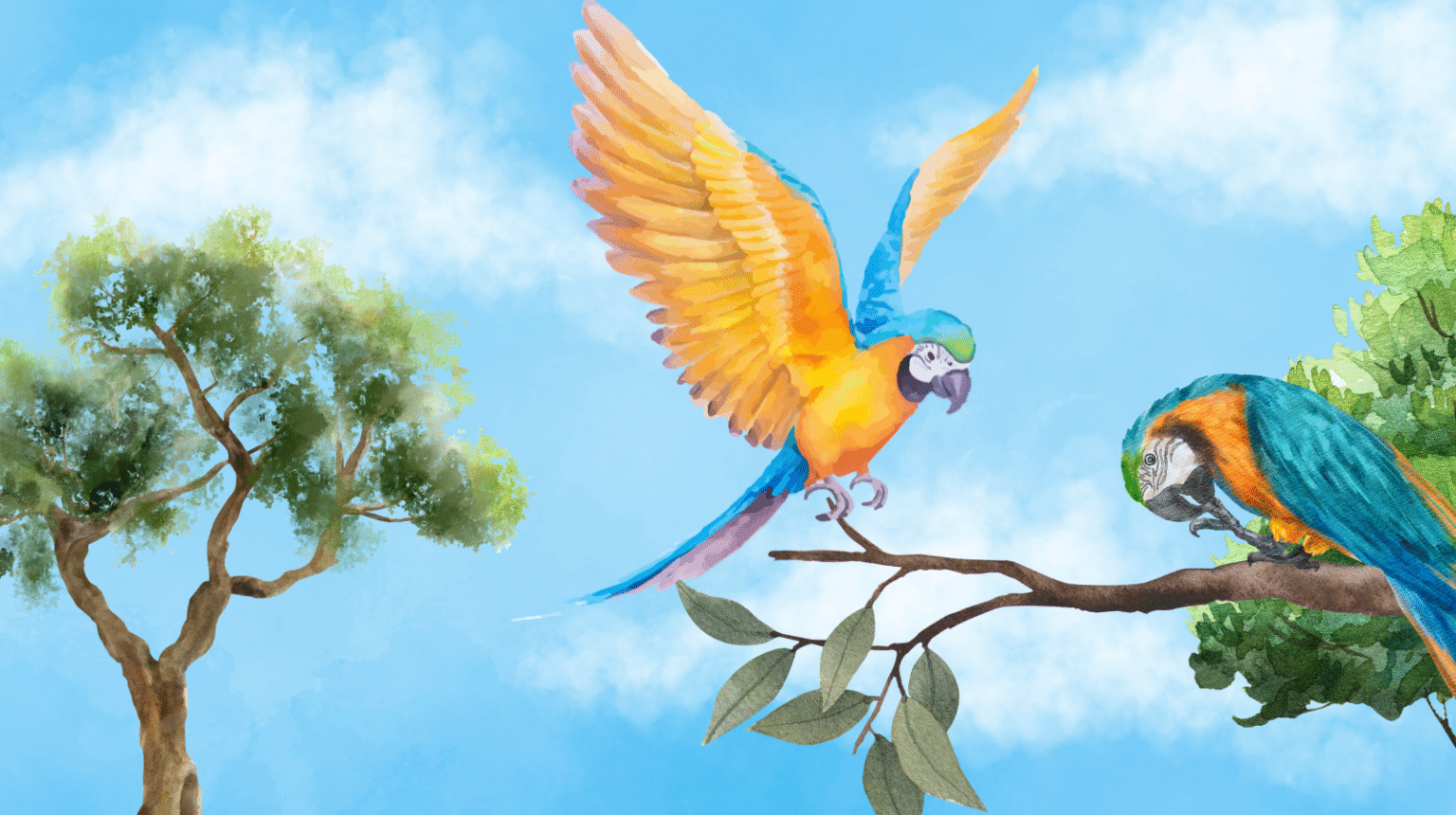 Pet Bird Names: Fun, Cool & Unique Ideas to Name Your Bird!